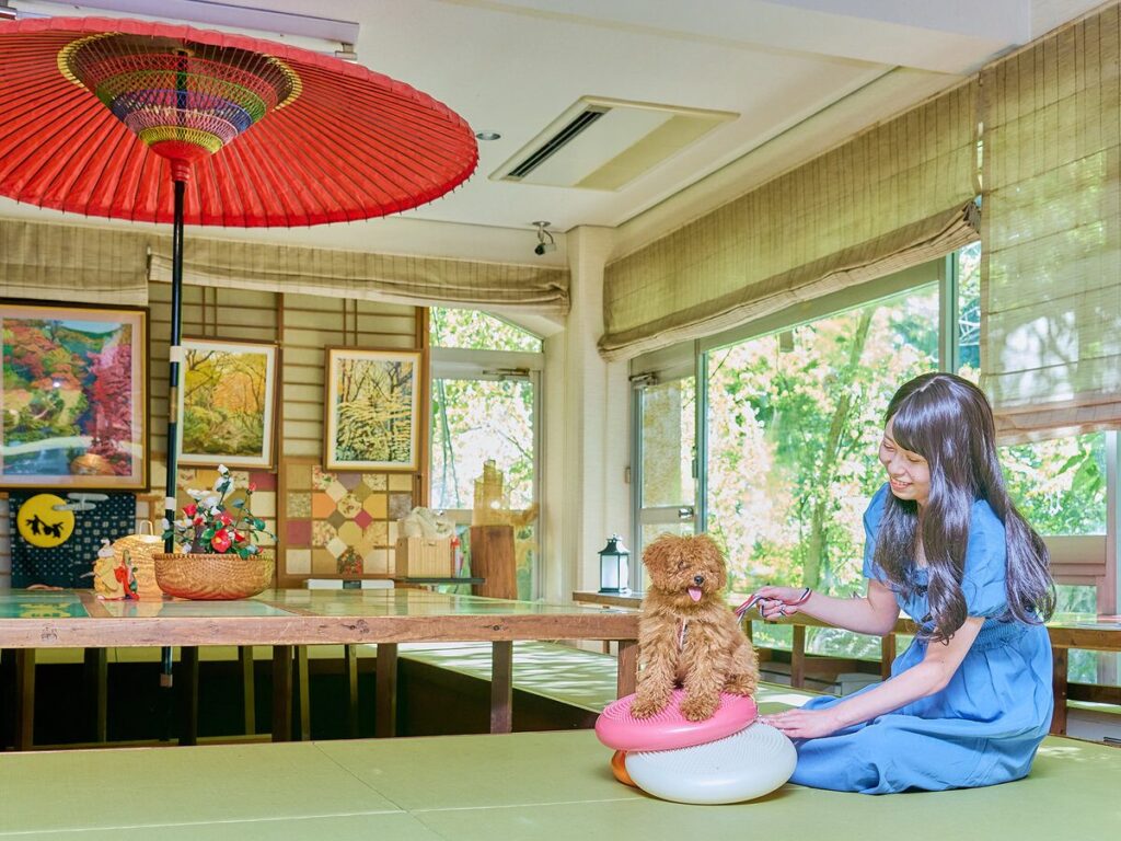 【大分で犬と泊まれる宿4選！】部屋食で愛犬と水入らずの温泉旅を叶えるガイド – マミーのTravel Life